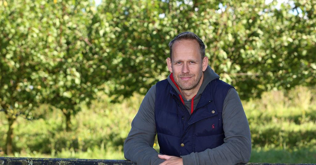 Holt Farm switches to home delivery | Article | Fruitnet