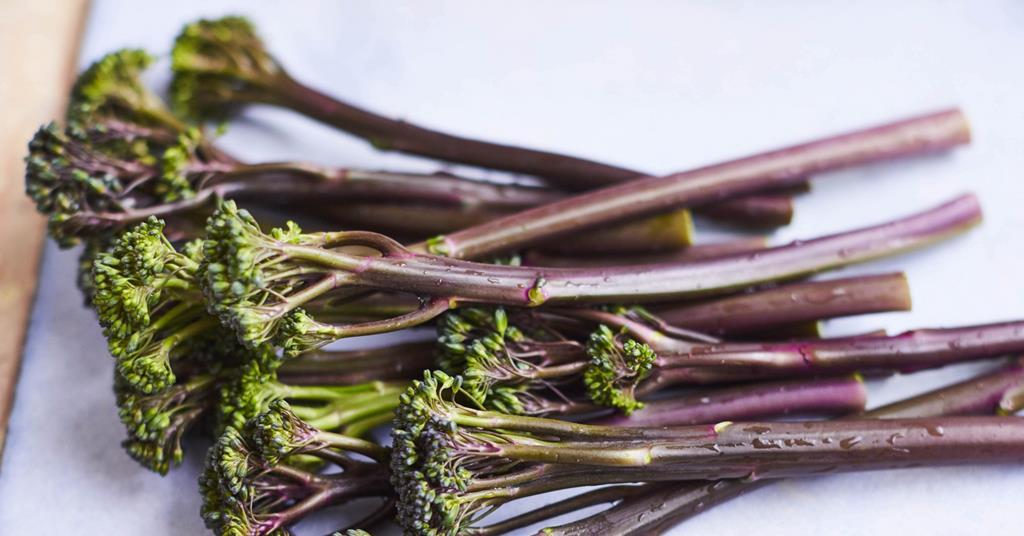 Tenderstem launches new purple variety | Article | Fruitnet