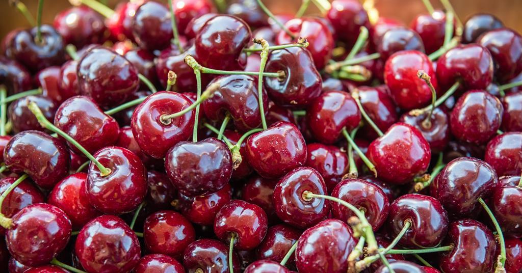 T&G Global and Sandher Fruit Packers form strategic partnership to ...