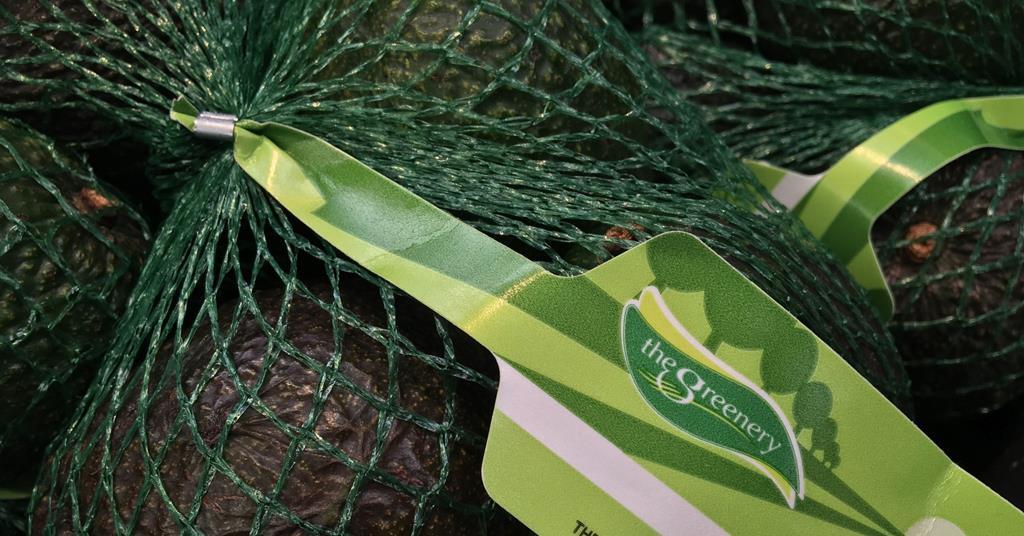 Data: how the Dutch rule Europe's avo trade | Article | Fruitnet