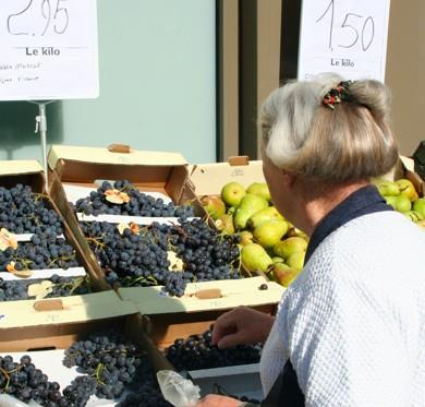 France plans to ban BOGOF deals | Article | Fruitnet