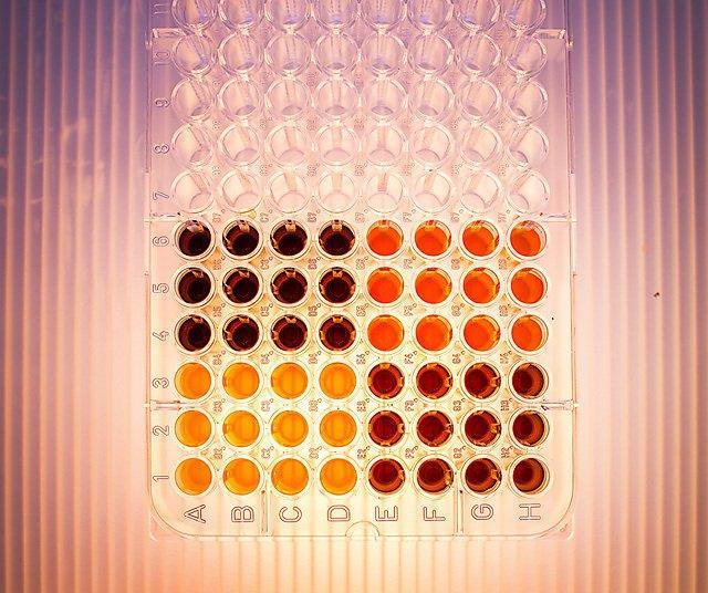 Scientists create "fabricated" soils | Article | Fruitnet