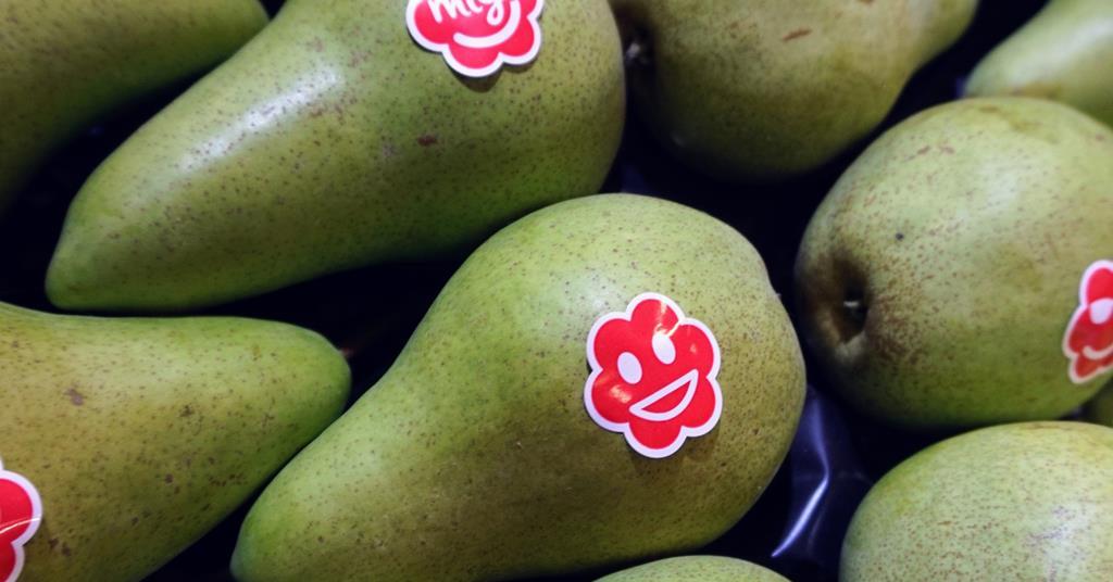 EU pear production to increase slightly in 2025/26 but remains below ...