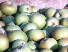 Apple turnaround | Article | Fruitnet