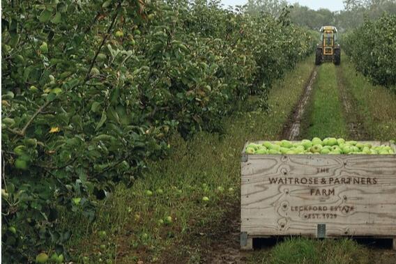 Farming shows ‘drive surge in demand for British produce’ | News | Fruitnet