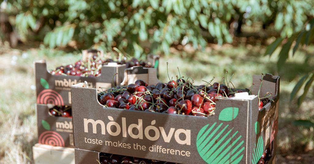 From Moldova with Love: Cherries Ready to Take the EU Market by Storm ...