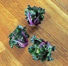 New sprout hits M&S shelves | Article | Fruitnet