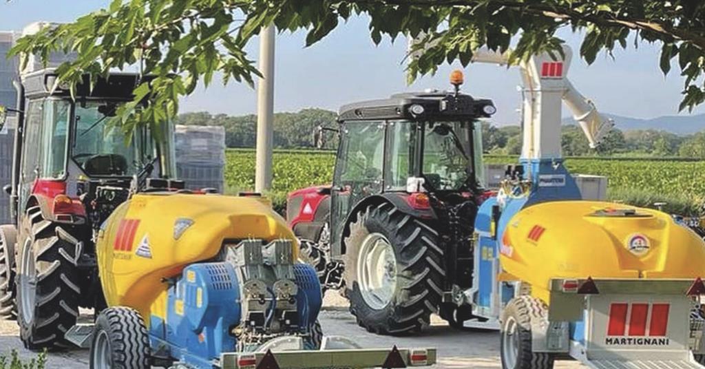 Martignani maximises its opportunities | Article | Fruitnet