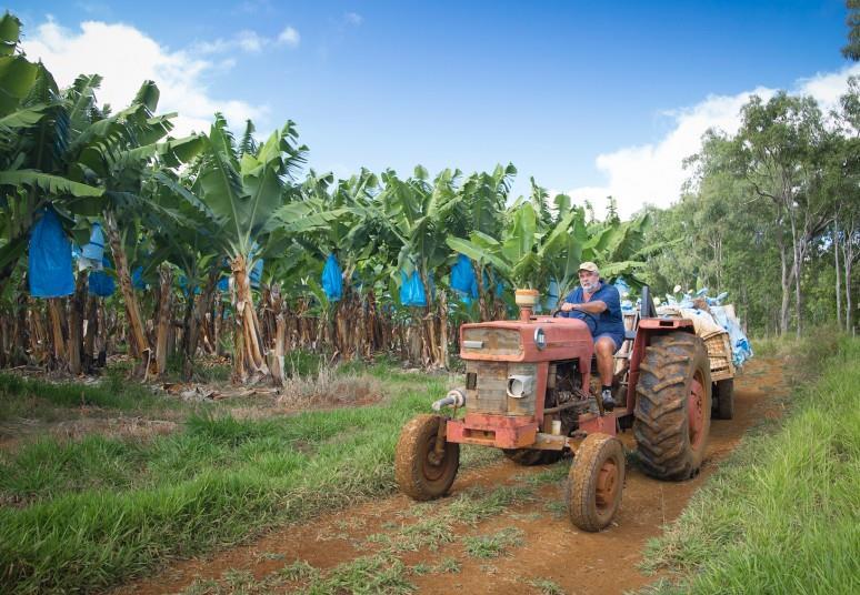 Growcom launches new certification programme | Article | Fruitnet