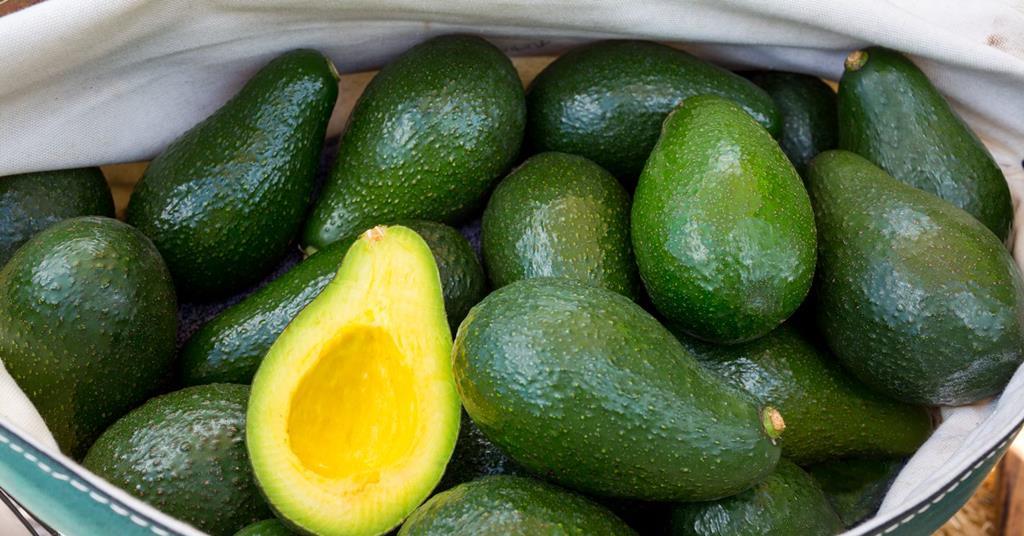 TV chef to launch Shepard avocado season | News | Fruitnet
