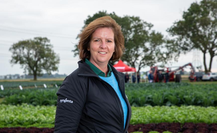 Syngenta invests in UK veg seed logistics | Article | Fruitnet