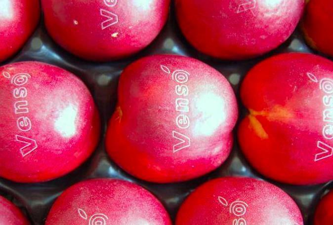 Laser Food firing in Europe | Article | Fruitnet