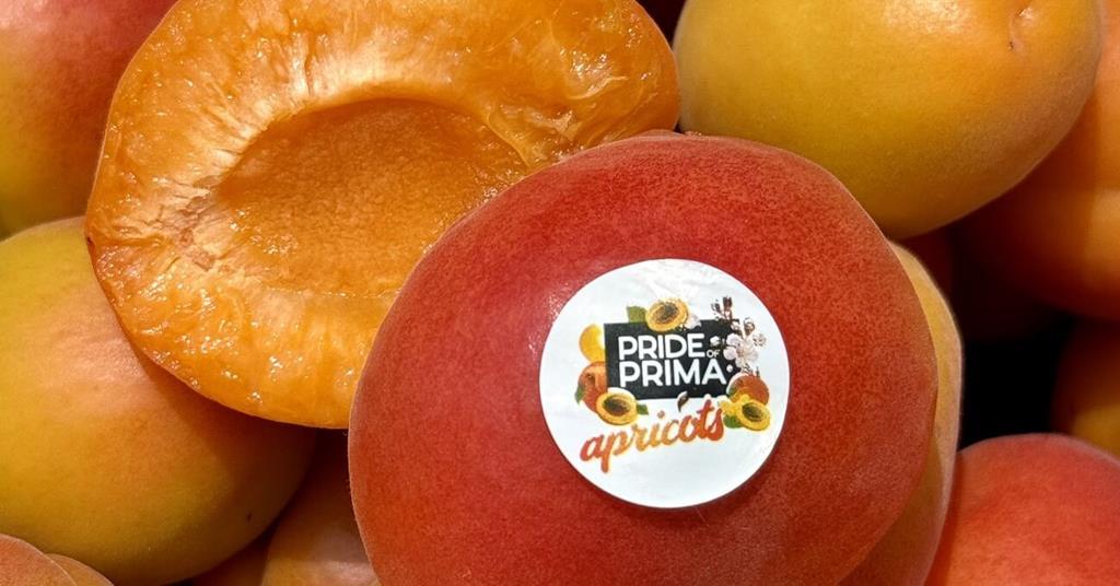 Success of apricot packs brings category “back to life” | News | Fruitnet