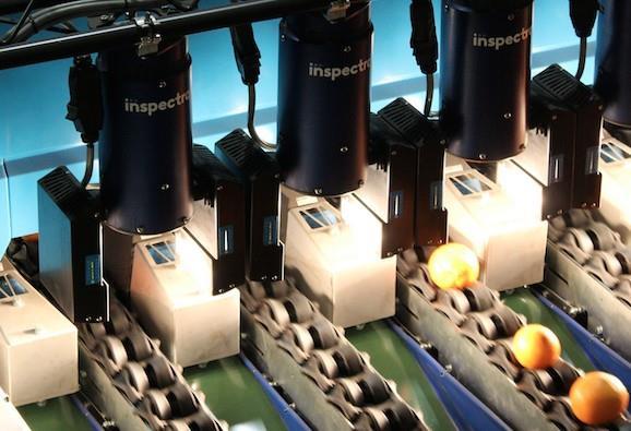 Compac enhances internal inspection with Inspectra2 | Article | Fruitnet