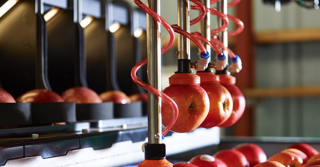 Aporo Produce Packer delivers efficiency | Article | Fruitnet