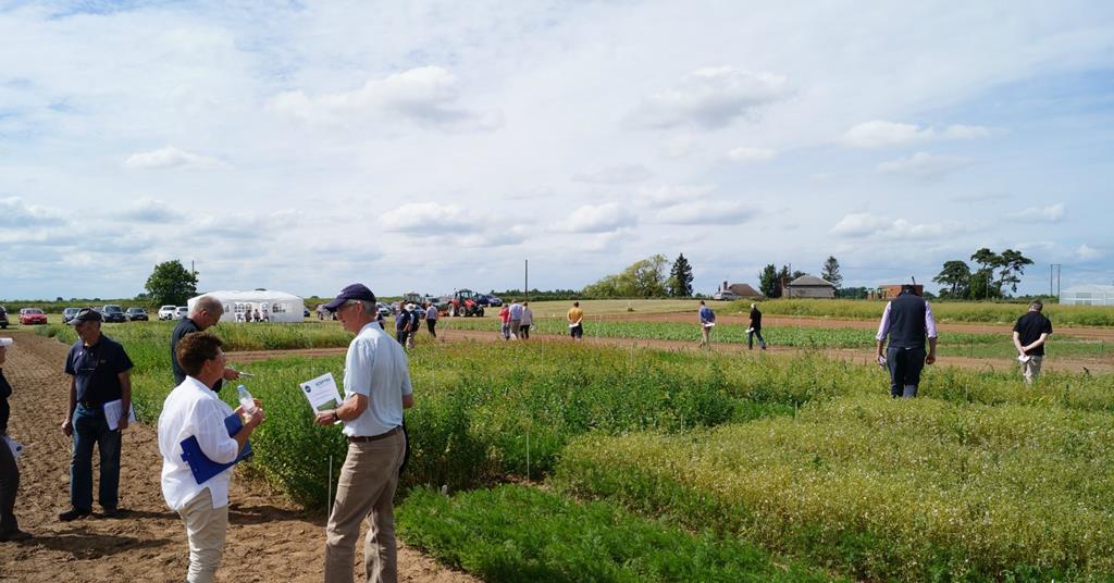 AHDB to launch £1.4m crop protection trials | Article | Fruitnet