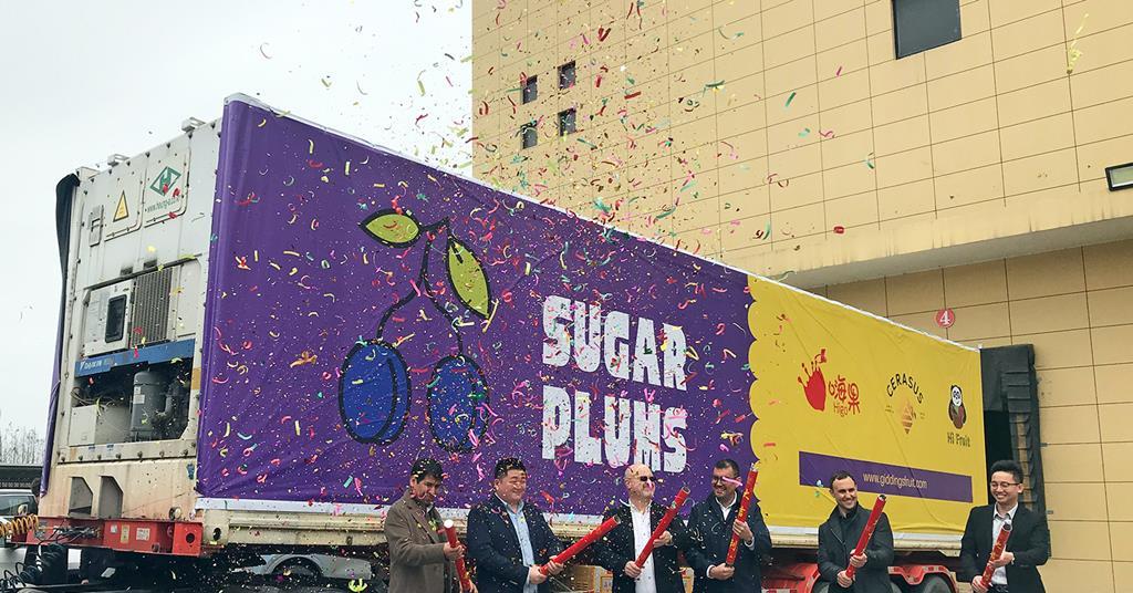 Hi Fruit launches new packing line | Advertorial | Fruitnet