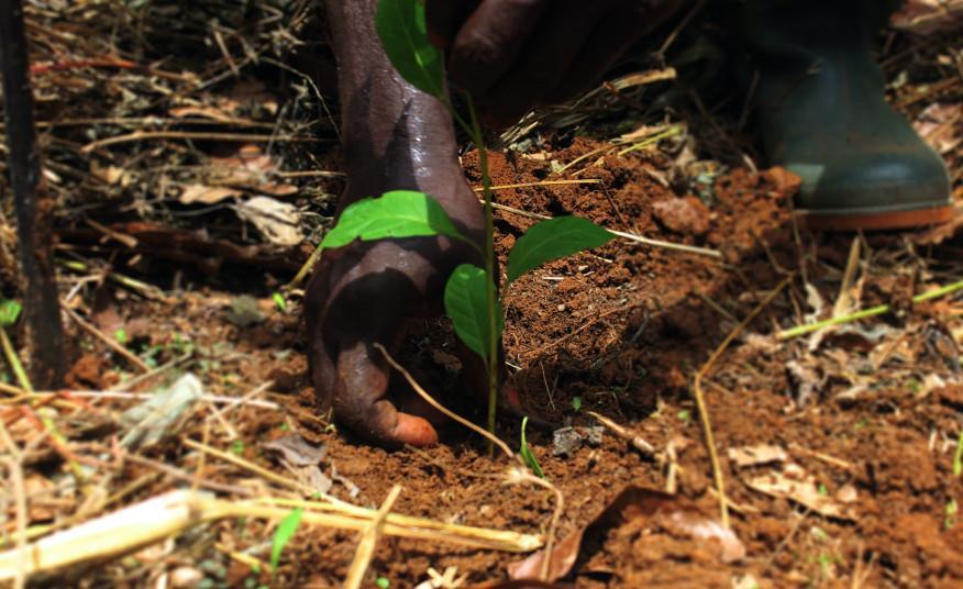 Fairtrade partnership meets local challenges | Article | Fruitnet