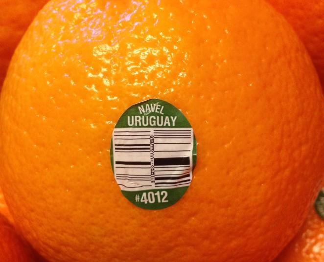 Uruguay citrus joins Oppy line up | Article | Fruitnet