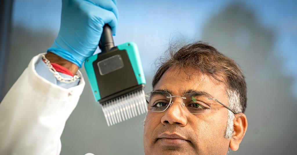 Australia collaborates with global scientists to improve crop genetics ...