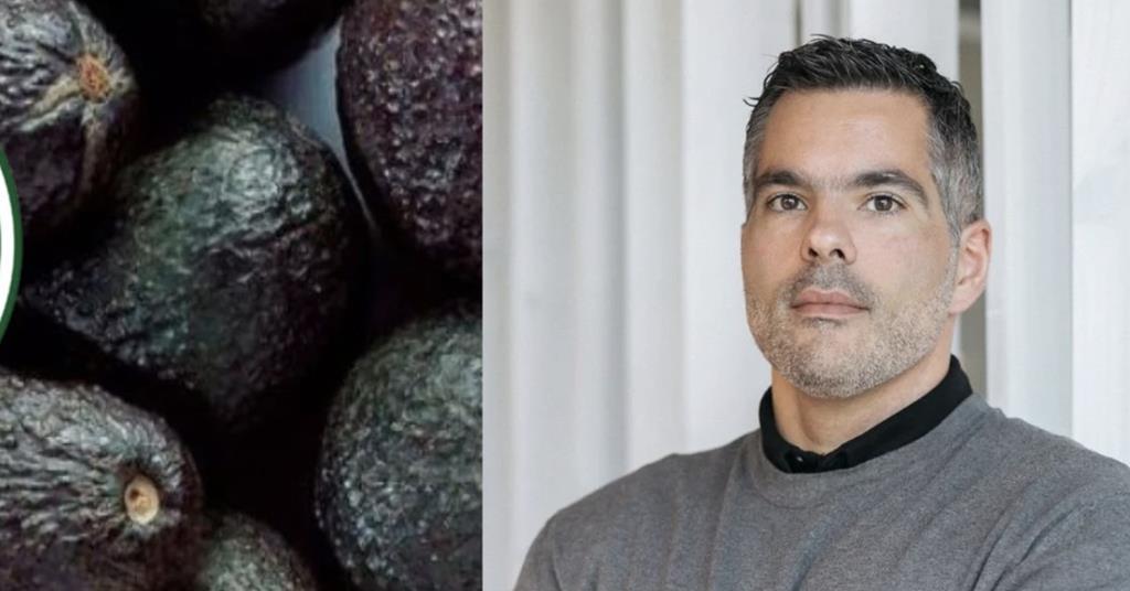 Chilean avocado output reaches highest level in 15 years | News | Fruitnet