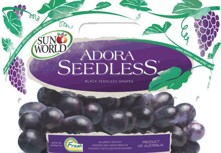 New Sun World varieties for Australia | Article | Fruitnet
