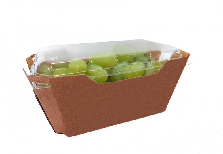 OTC adds to sustainable packaging | Article | Fruitnet
