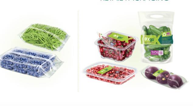 StePac takeover creates new prospects for growth | Article | Fruitnet