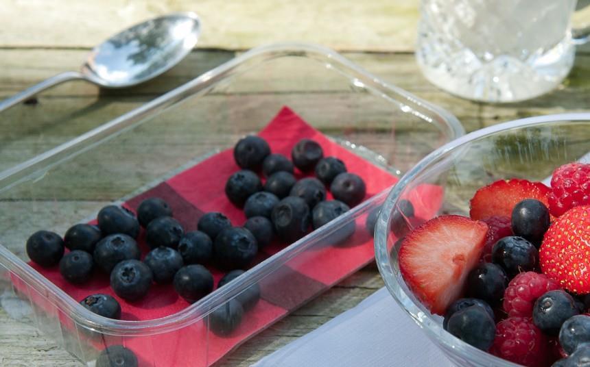 Using ozone to boost shelf life | Article | Fruitnet