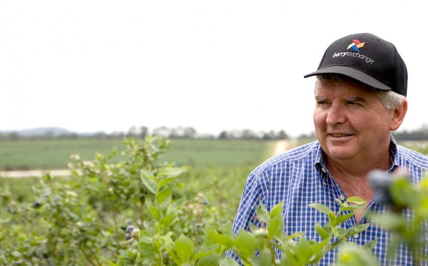 Costa creates new global berry role | Article | Fruitnet