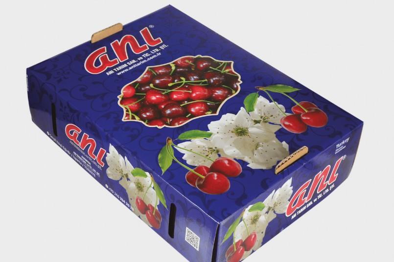 Turkish cherries rise to challenge | Article | Fruitnet