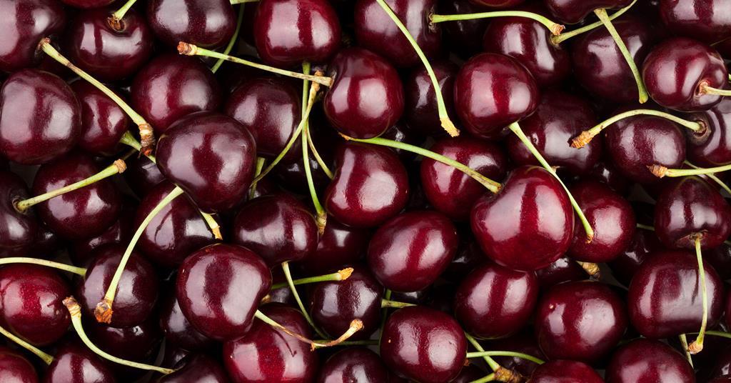 Chinese cherry production affects imports | Article | Fruitnet