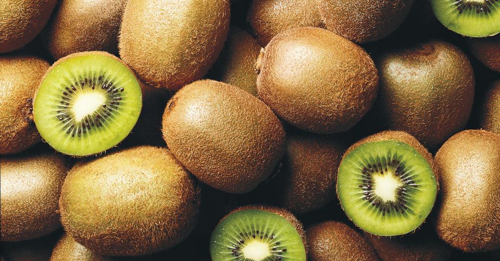 IG Fresh Produce makes production investment | Article | Fruitnet