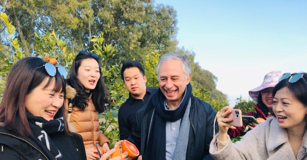 Italian blood oranges gaining popularity | Article | Fruitnet