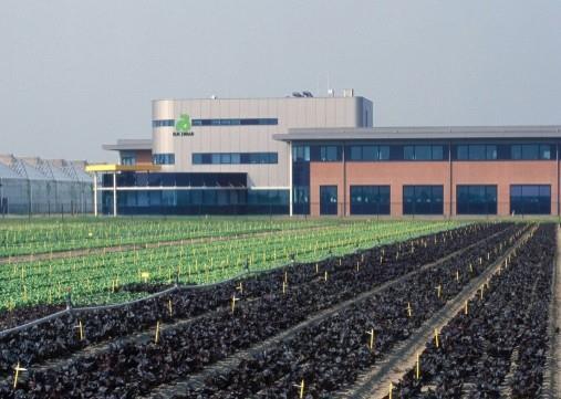 Employer award for Rijk Zwaan | Article | Fruitnet