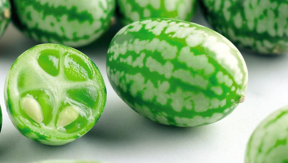 Waitrose launches 'grow your own' cucamelons | Article | Fruitnet