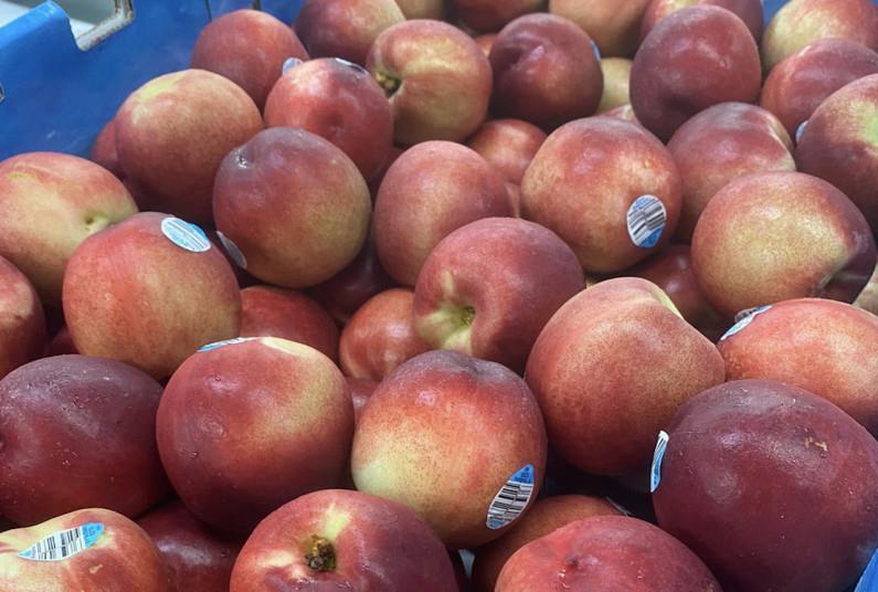 Kent Exports sets up in Singapore | Article | Fruitnet