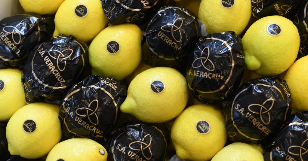 Argentina’s citrus exports fall sharply despite production rise | News | Fruitnet