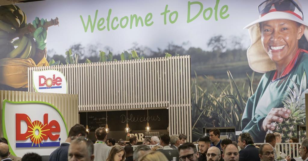 Dole reports on “very strong” 2024 results | News | Fruitnet