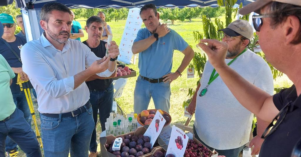 Imida unveils new climate resistant stonefruit varieties | News | Fruitnet