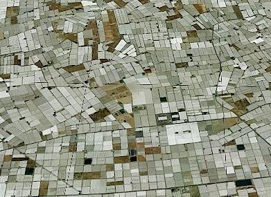 Rain and flooding hit crops in Almeria | Article | Fruitnet