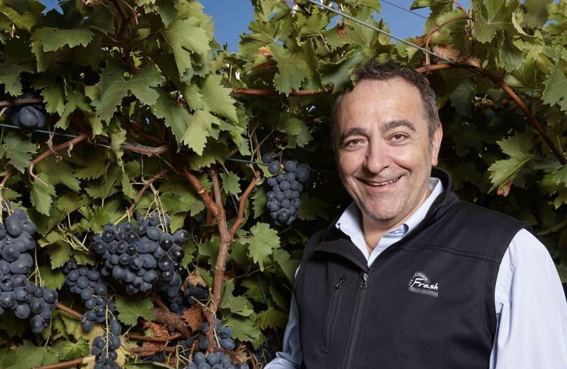 Michael Simonetta elected AFPA chair | Article | Fruitnet
