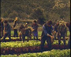 Florette unveils new campaign | Article | Fruitnet