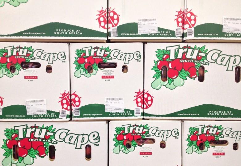 Challenging times for Tru-Cape | News | Fruitnet