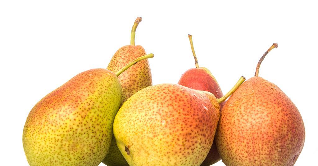 RSA topfruit sector strikes ground-breaking deal in India | Article ...