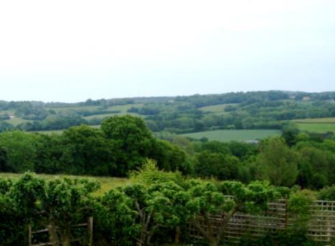 University of Reading buys farmland in future food strategy | News ...