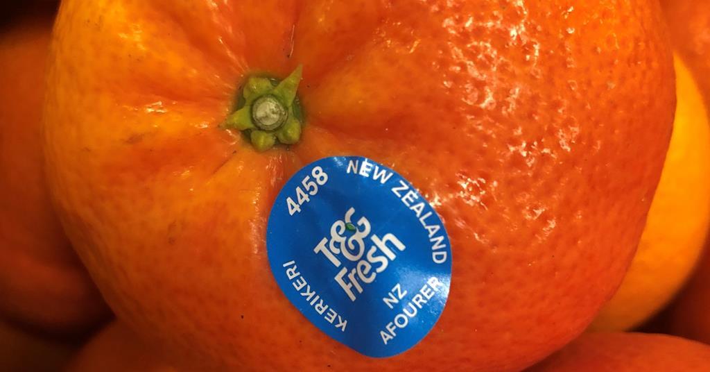 New citrus offer from T&G Fresh | Article | Fruitnet