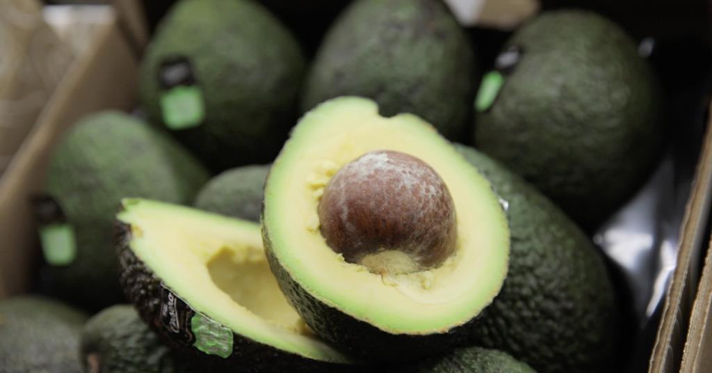 Macfrut Academy provides year-round training | Advertorial | Fruitnet