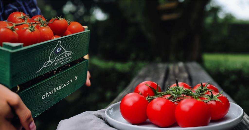 Turkey’s Alya Fruits committed to top service | News | Fruitnet