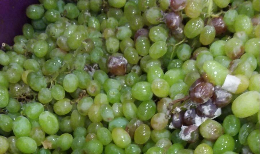 Comment: Ignore these common myths when it comes to cargo damage | News ...